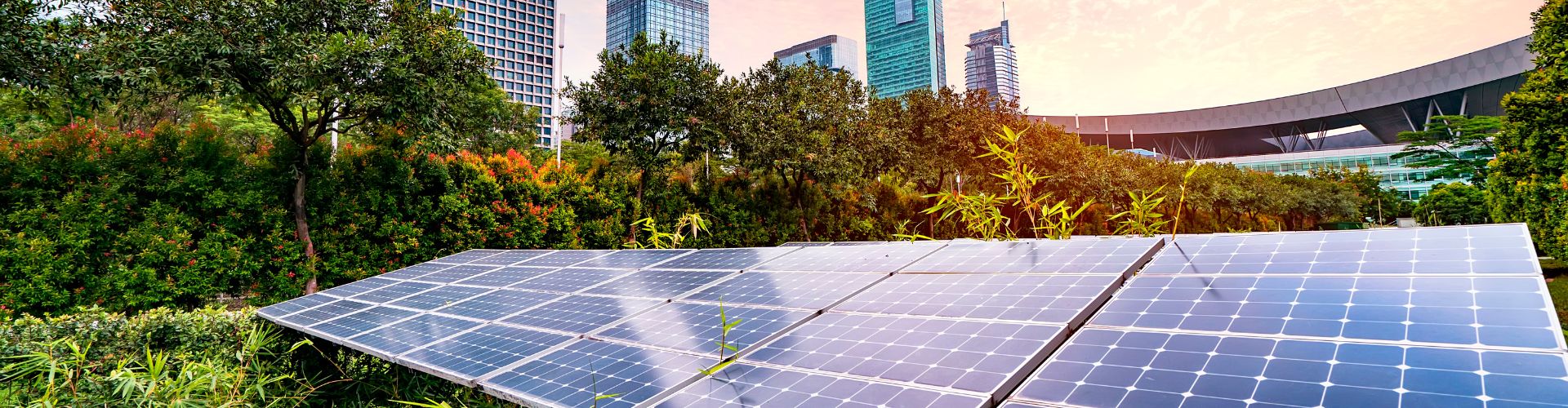 Thriving Not Surviving | Baxter Freight